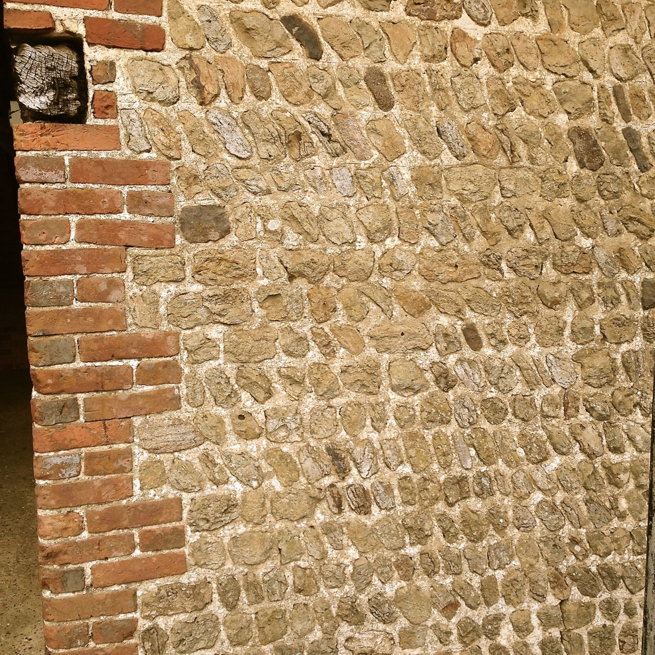 beautiful-wall-as-inspiration-for-new-scheme - Jo Alderson Phillips