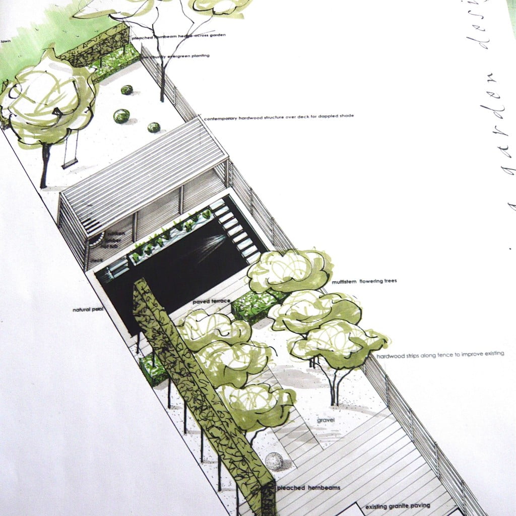 Axonometric drawing of a contemporary garden with pleached trees - Jo ...