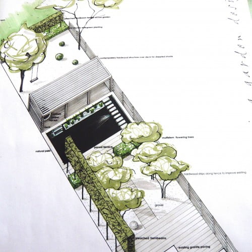 Axonometric drawing of a contemporary garden with pleached trees - Jo ...
